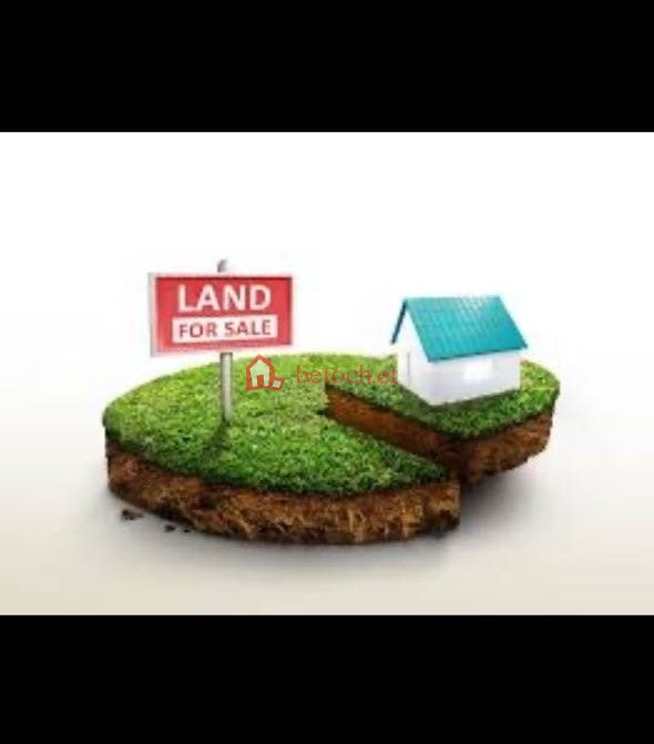 plot land for sale Ayat Yekibir demana church 150 m² Open plot