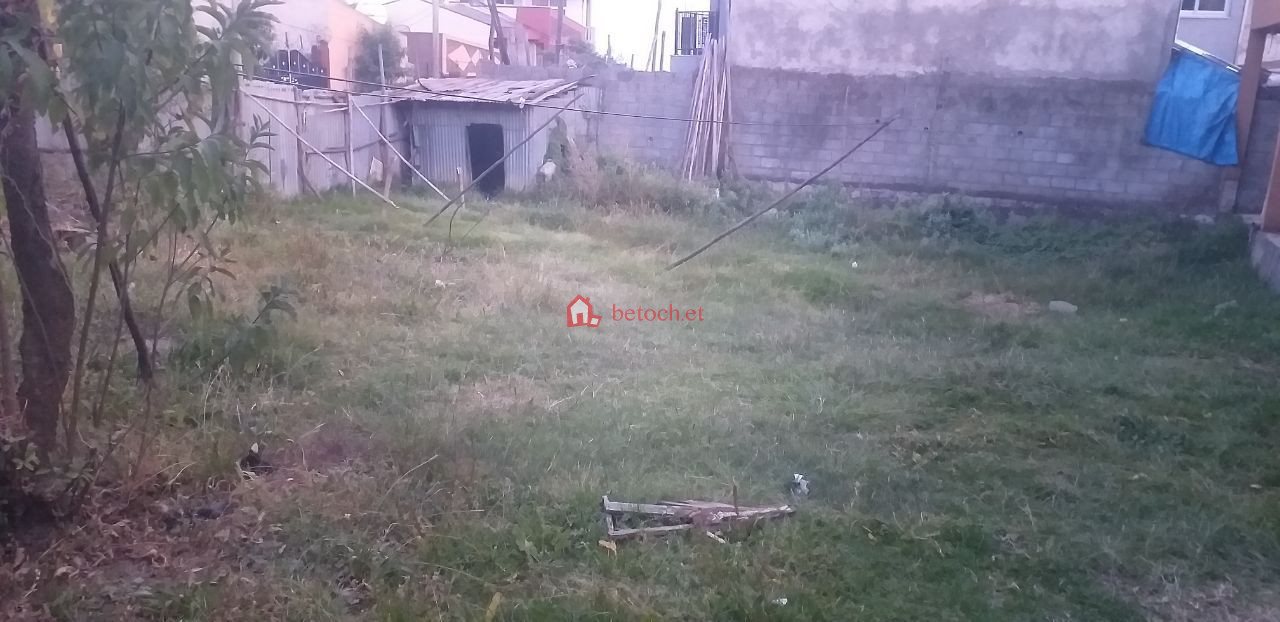 64. Kotebe 02 441 m2 L– shape Service Quarter House – Houses ...