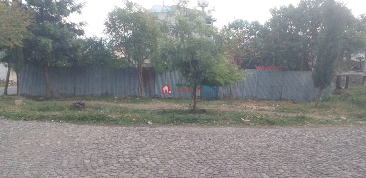 64. Kotebe 02 441 m2 L– shape Service Quarter House – Houses ...