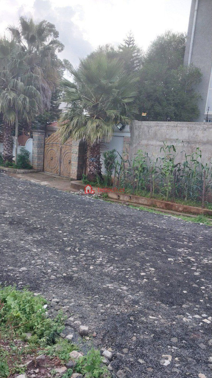 School building for sale Summit 650 m2 KG and Joiner School build