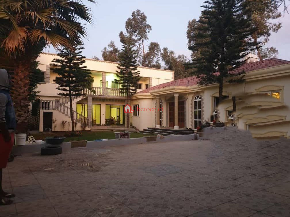 School building for sale Summit 650 m2 KG and Joiner School build